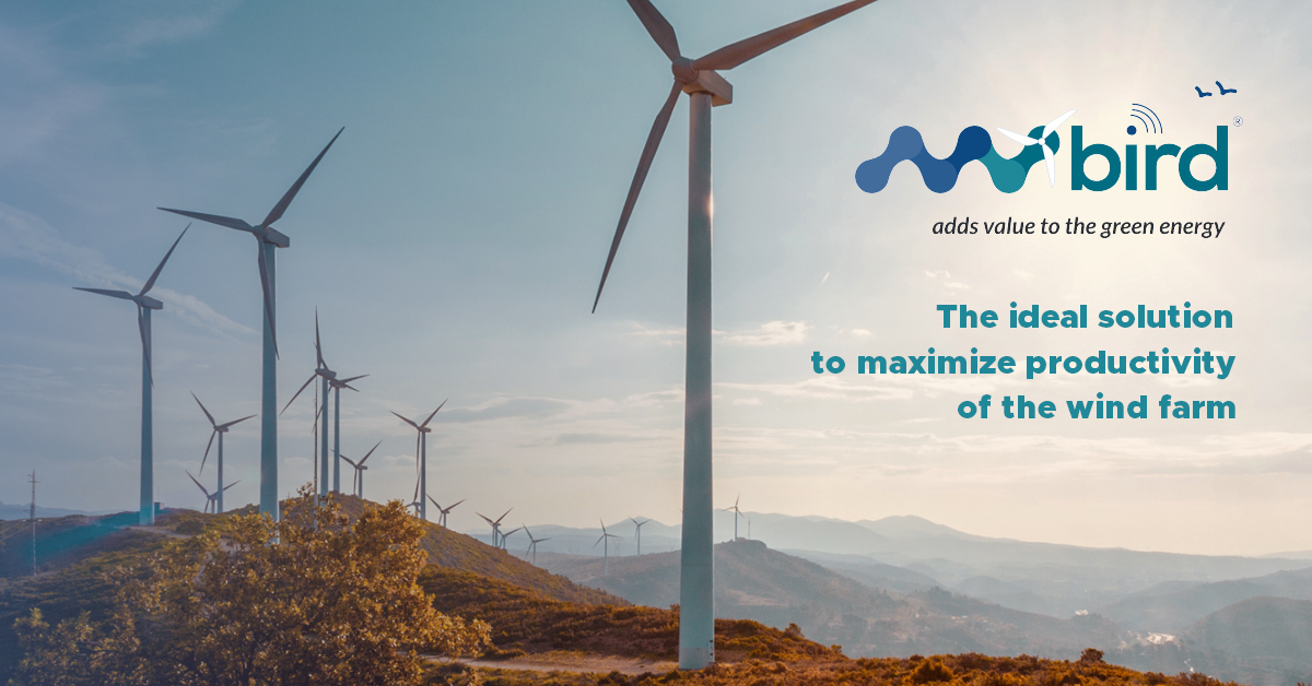 Nvbird Solution Wind Farm At Maximum Productivity Internet And Idee